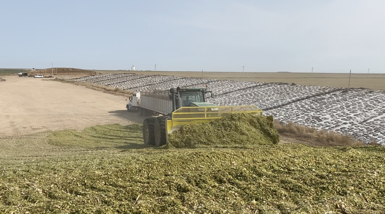 Services - DairyWorks