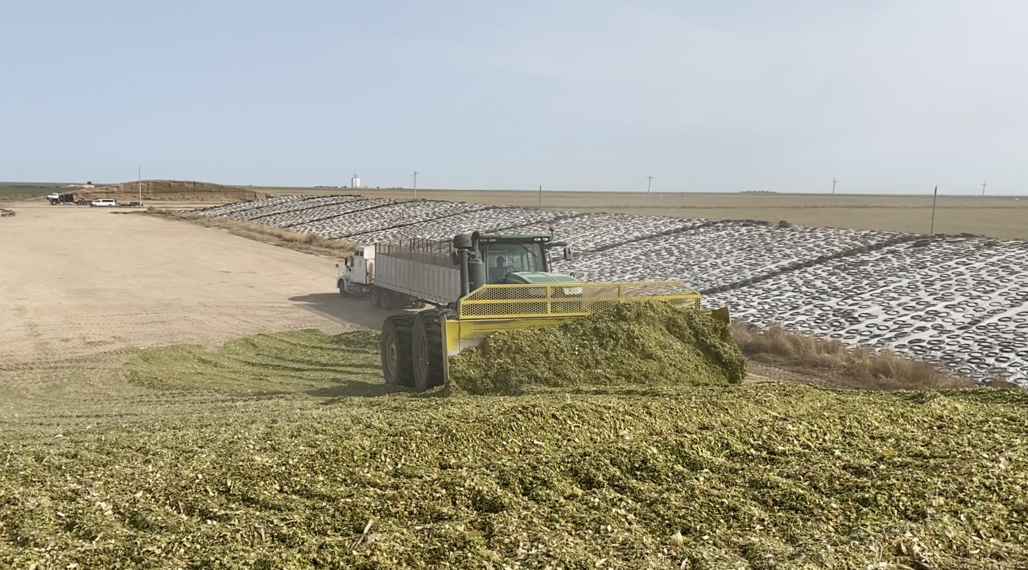 Services - DairyWorks